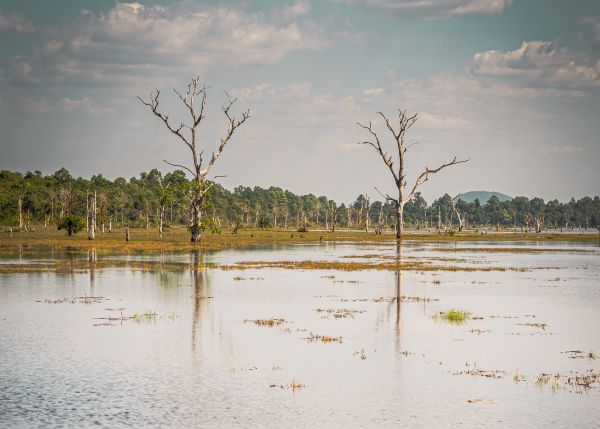 Statelessness and Climate Change